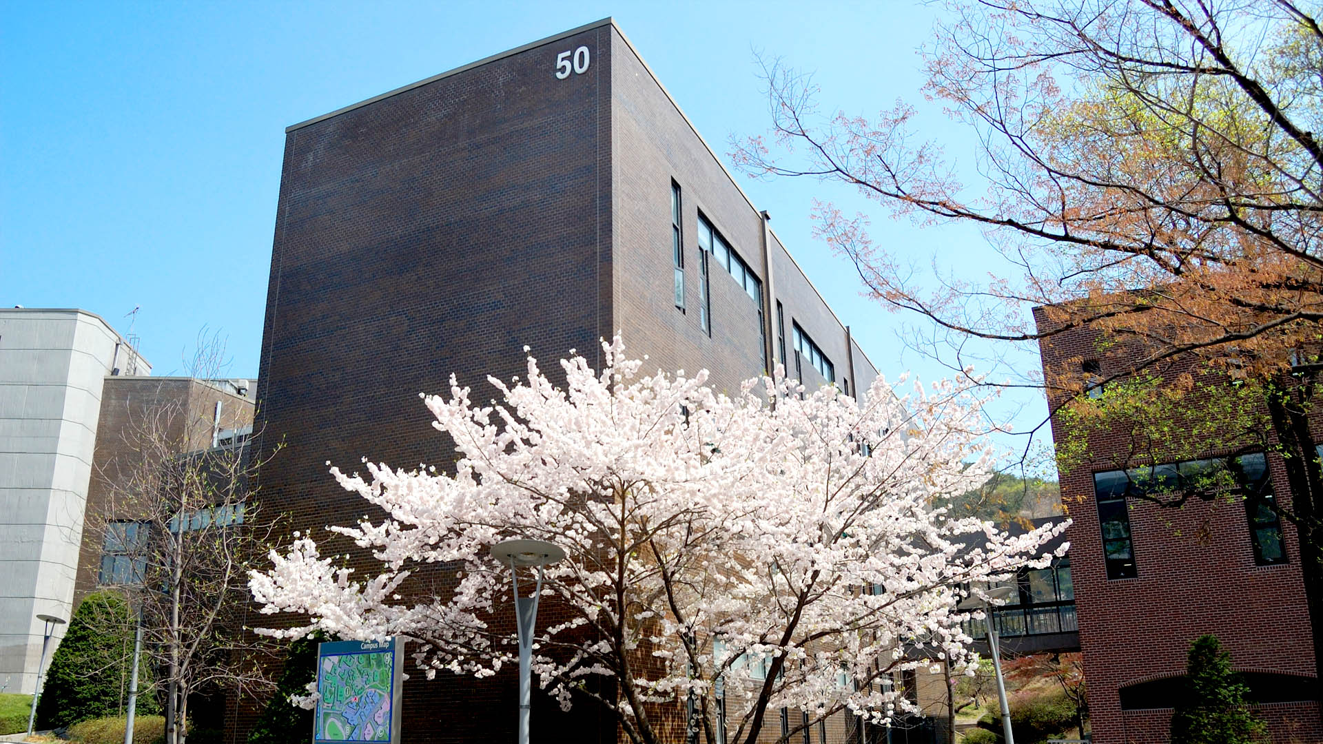 SNU Campus